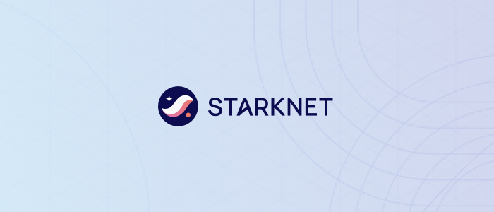 Starknet Seed Grant Program | Summary @ CoinFabrik